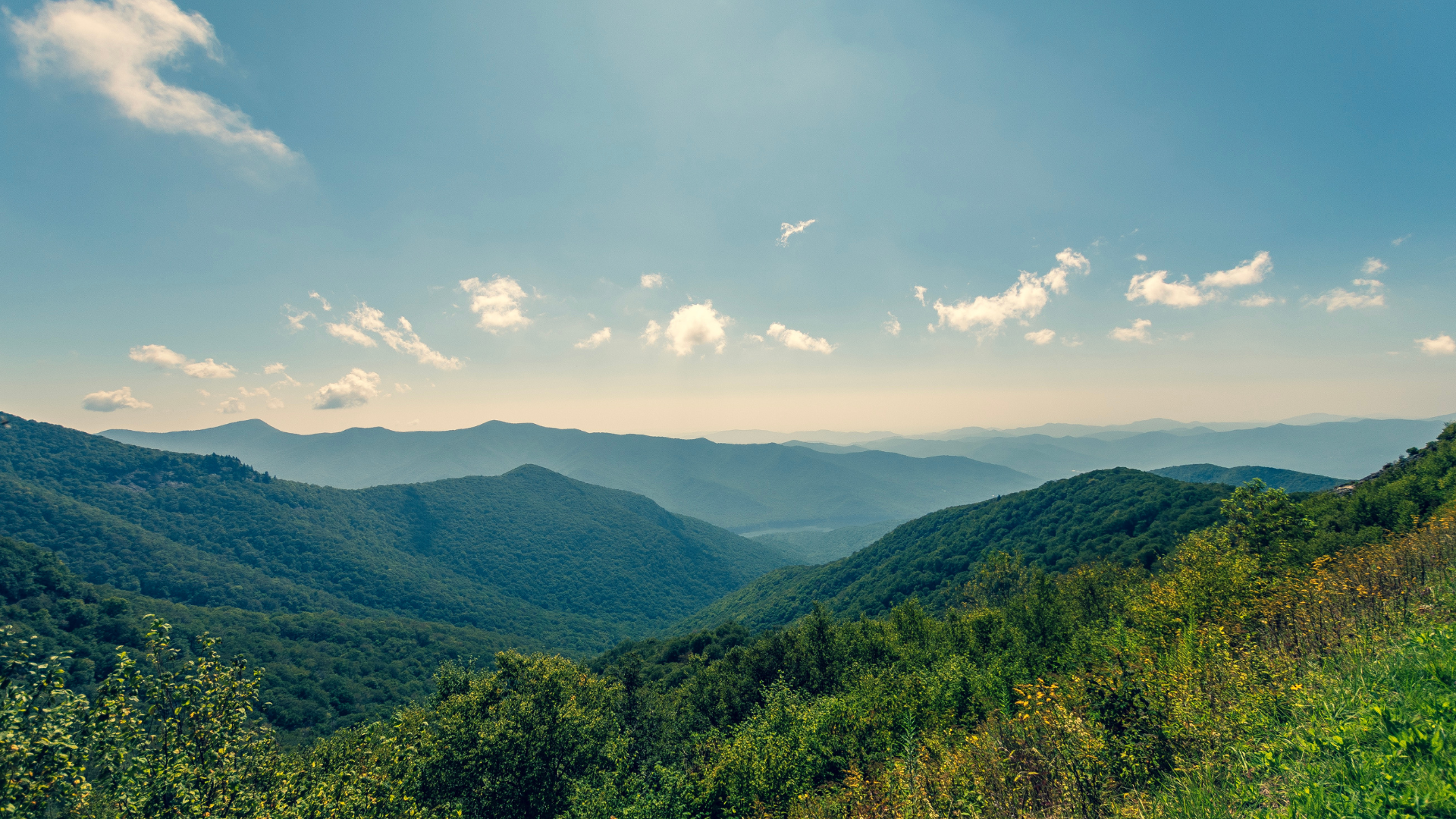 VAT 集团 AG - 高性能真空阀和真空系统 - VAT Group